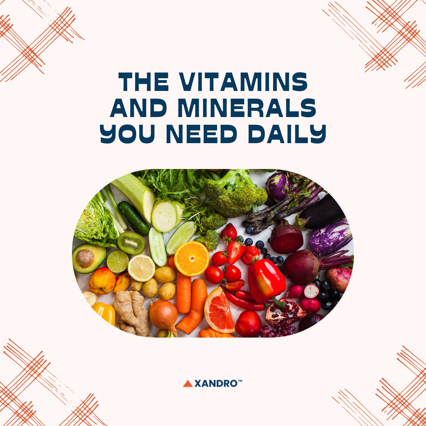 What Vitamins Should You Take Every Day? Essential Guide - Xandro Lab