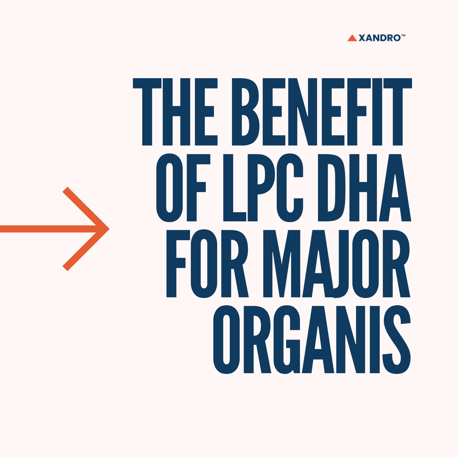 Proven Benefits of LPC DHA for Brain Function & Major Organs - Xandro Lab