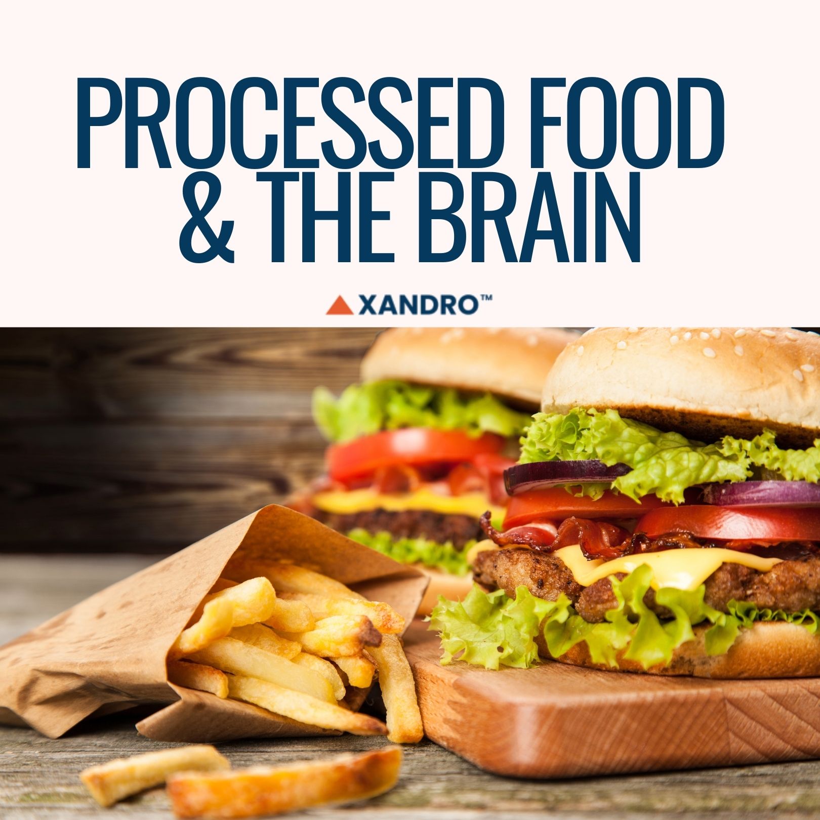How Processed Foods Affect Your Brain & Mental Health - Xandro Lab