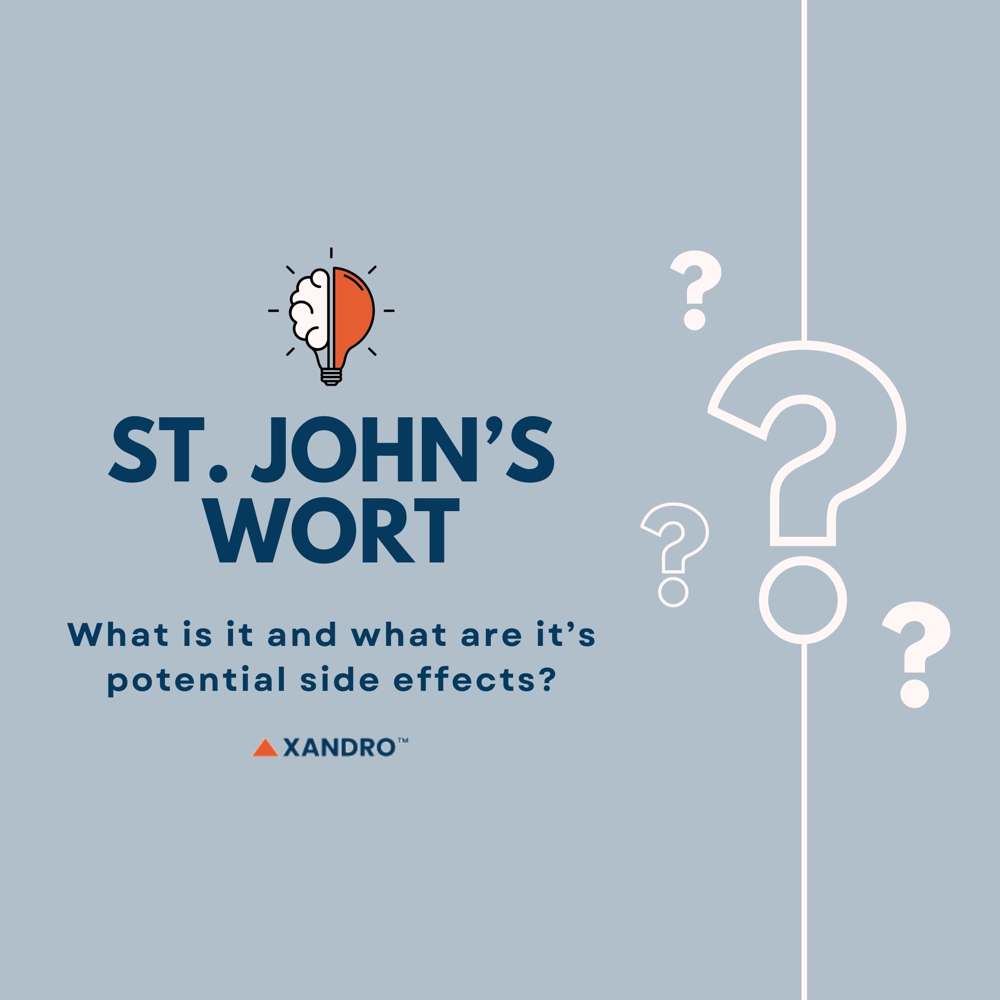 St John S Wort Benefits Side Effects Drug Interactions Explained