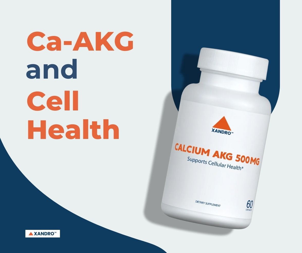 Exploring the Benefits of Calcium AKG on Our Cells - Xandro Lab