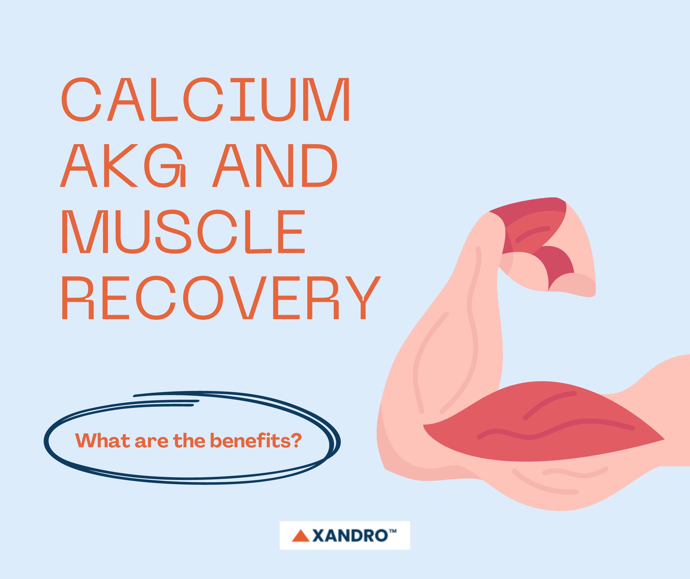 What are the benefits of Calcium AKG on Muscle Recovery? - Xandro Lab