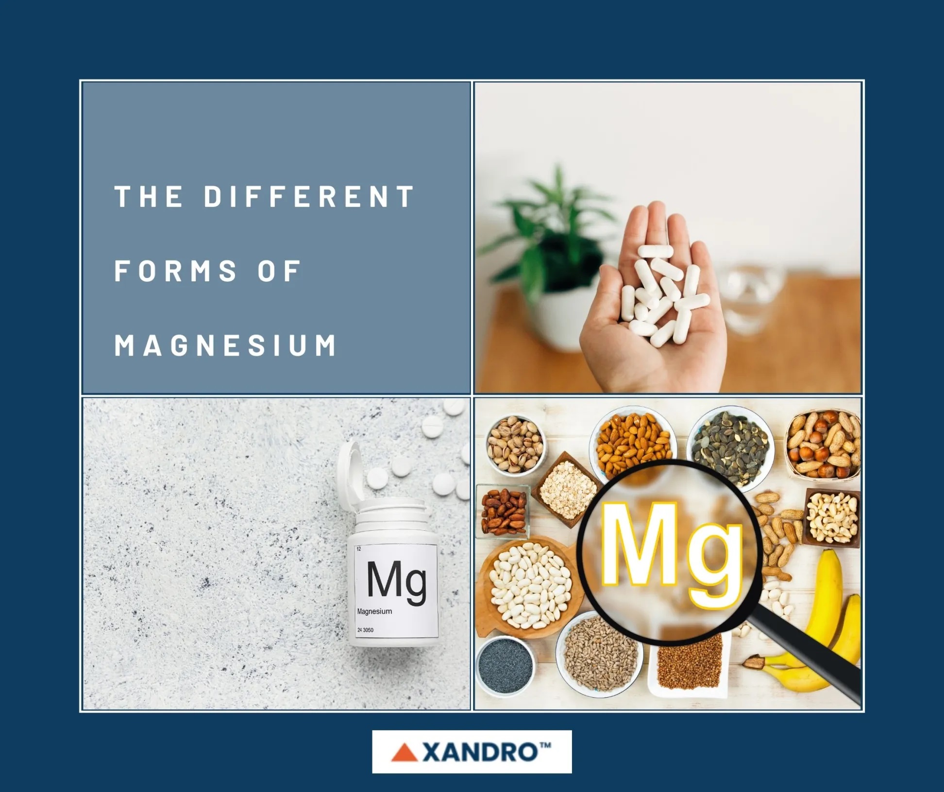 Choosing The Right Magnesium Supplement Benefits And Side Effects Xandro Lab