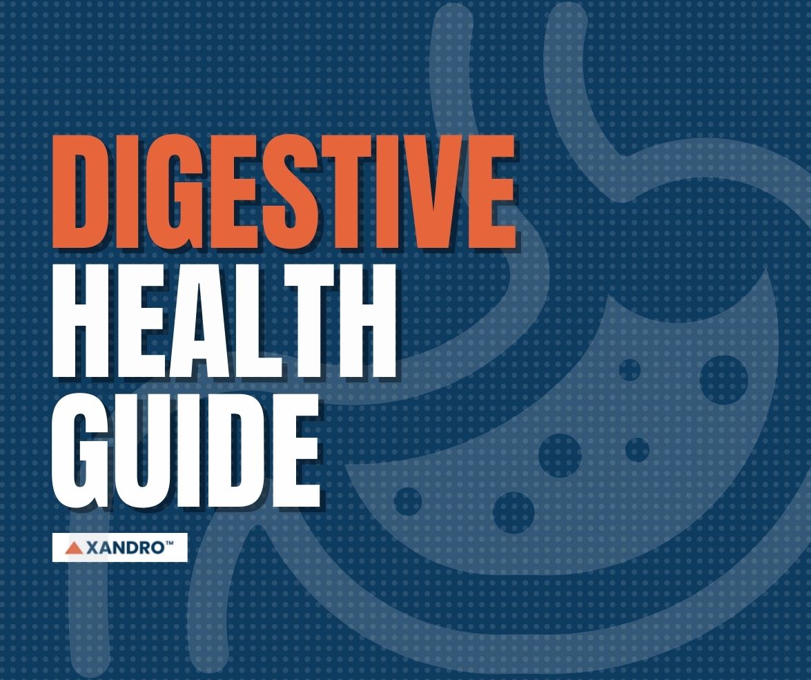 Digestive Health Guide and Supplements 2024 - Xandro Lab