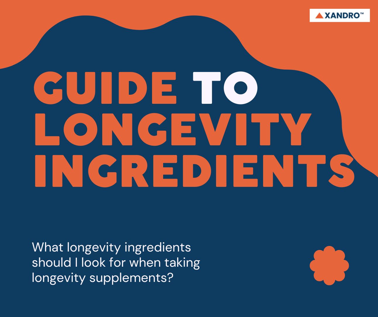 What Ingredients to Look Out for to Help With Longevity - Xandro Lab