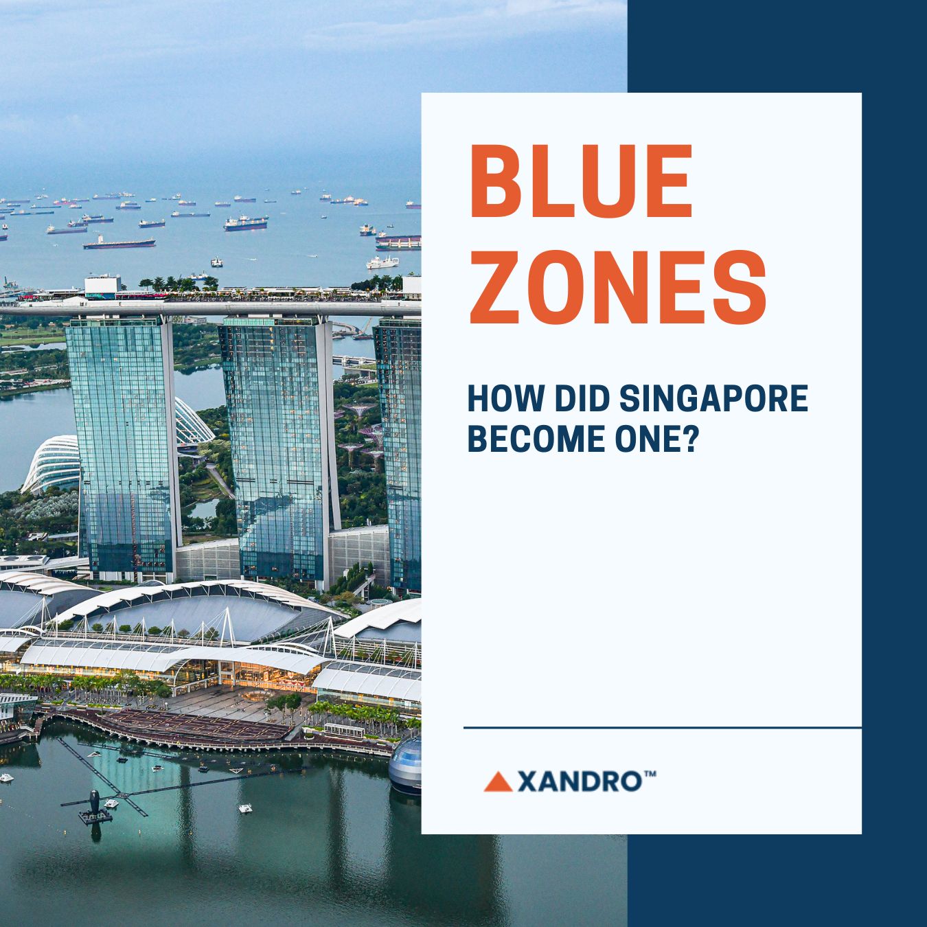 Singapore Blue Zone: How This Country Engineered It - Xandro Lab