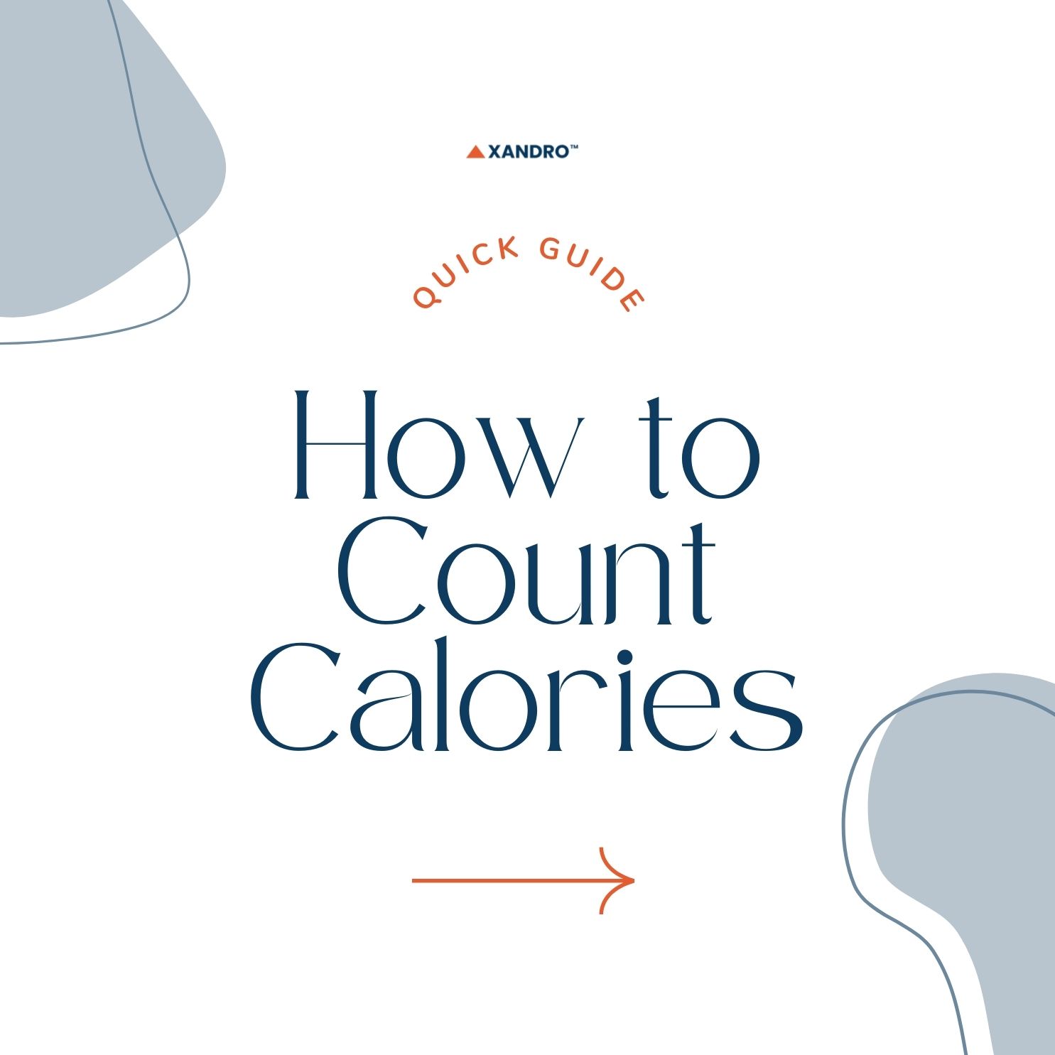How to Count Calories: Easy Tips for Accurate Tracking - Xandro Lab