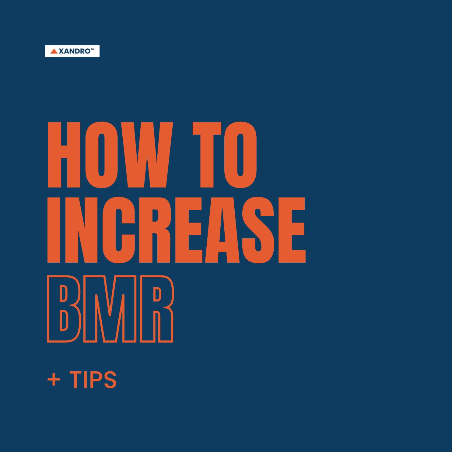 How to Increase BMR for Weight Loss | Tips - Xandro Lab