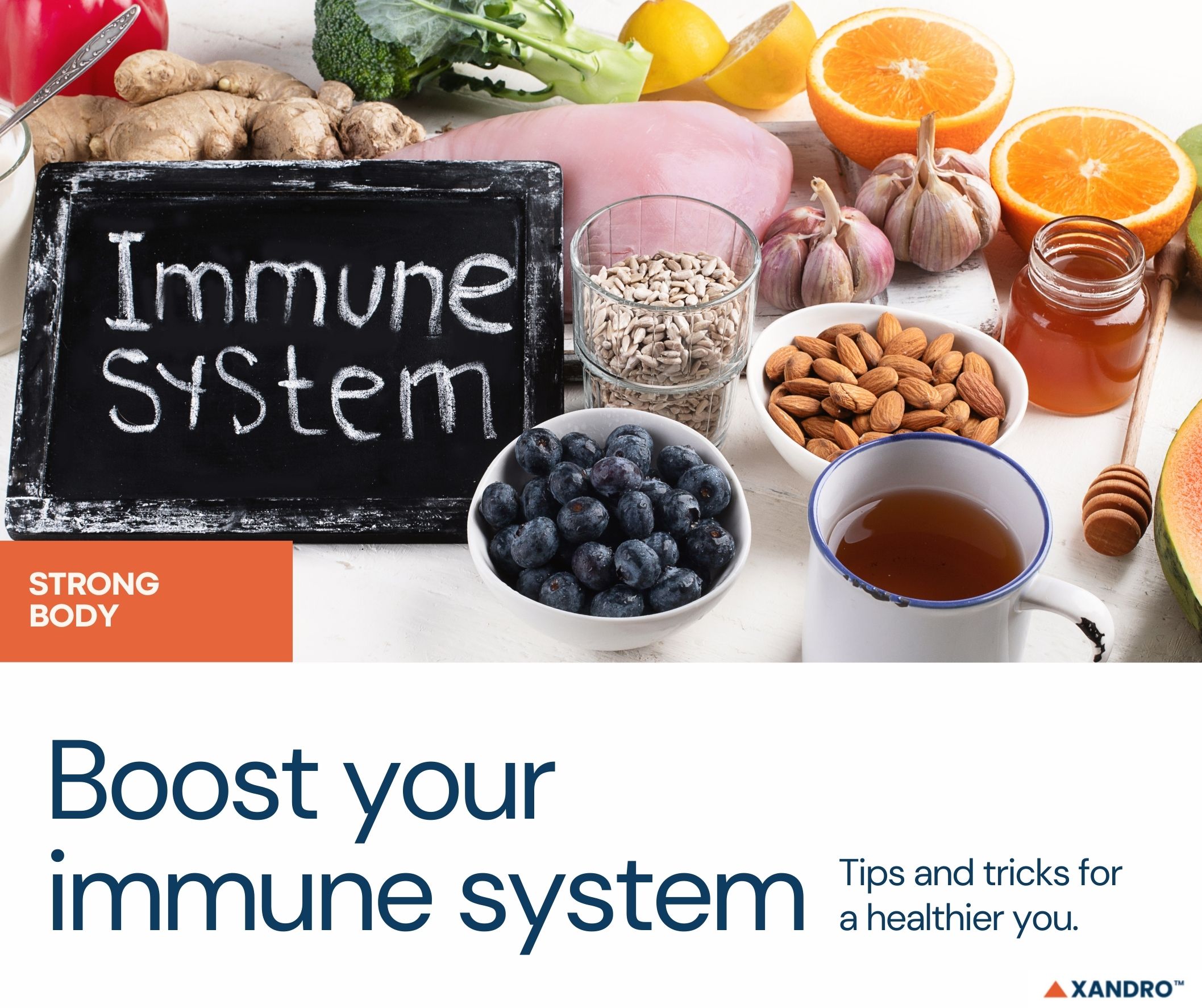 Ageing and Immune System: Immune Health Routine - Xandro Lab