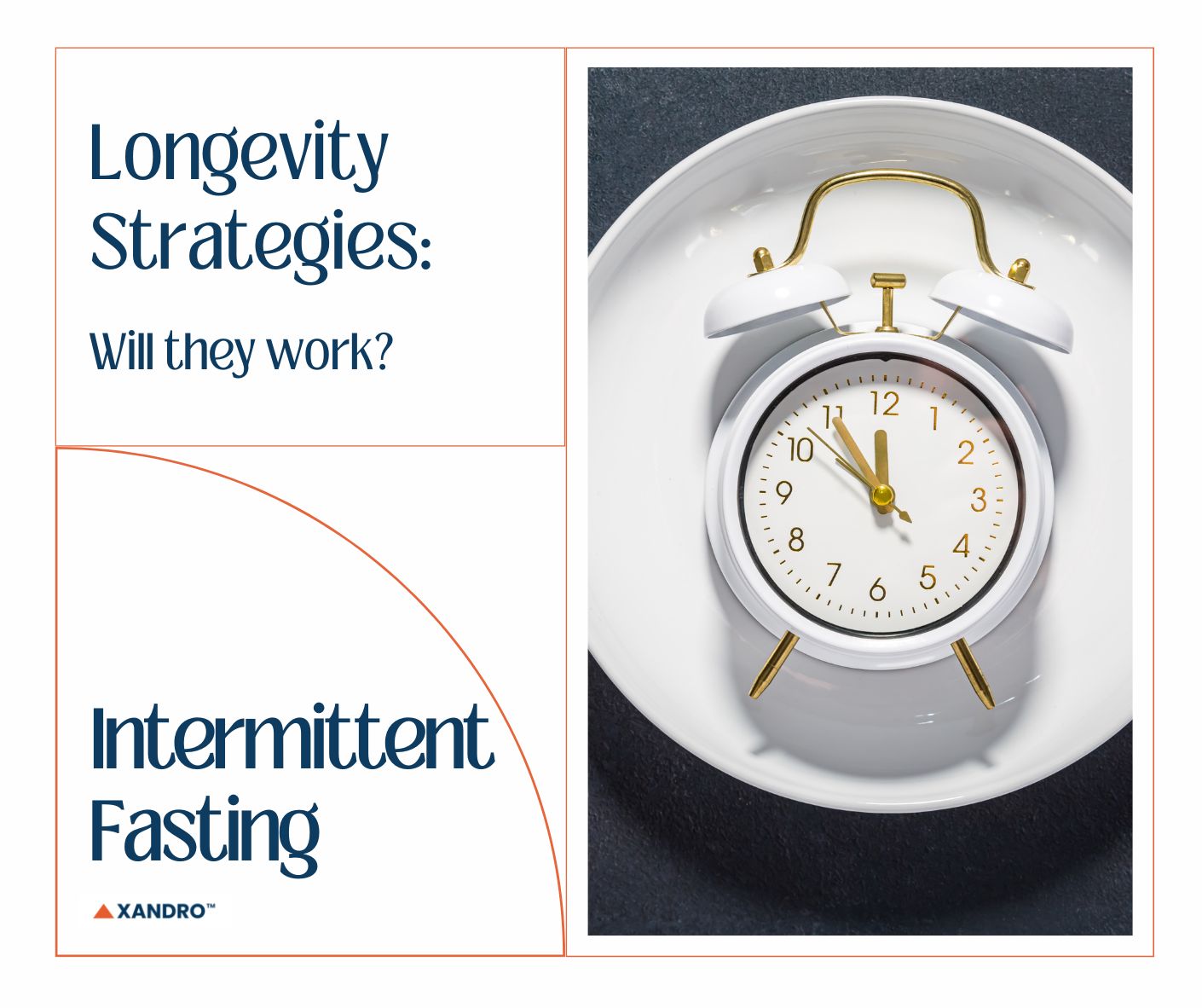 Will The Longevity Strategy of Intermittent Fasting Work? - Xandro Lab