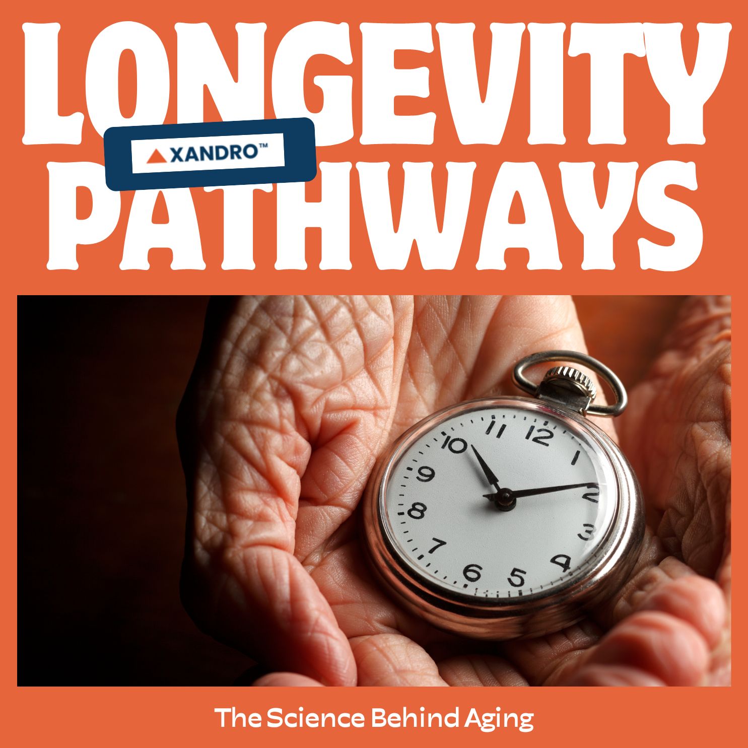Factors that Affect Longevity: Longevity Research on Lifespan Extension ... Factors that Affect Longevity: Longevity Research on Lifespan Extension ...