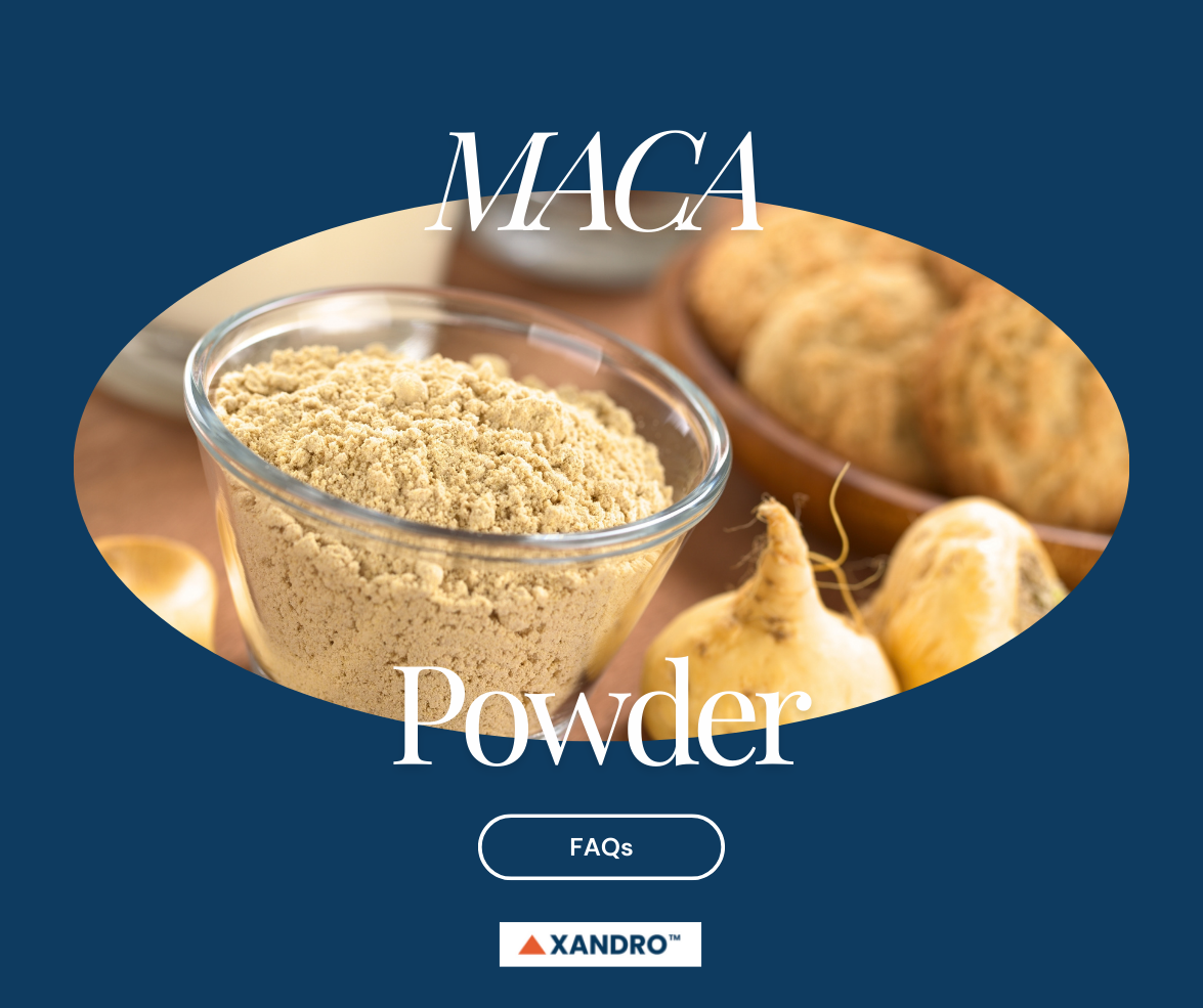 A Guide to Maca Root Powder - Xandro Lab