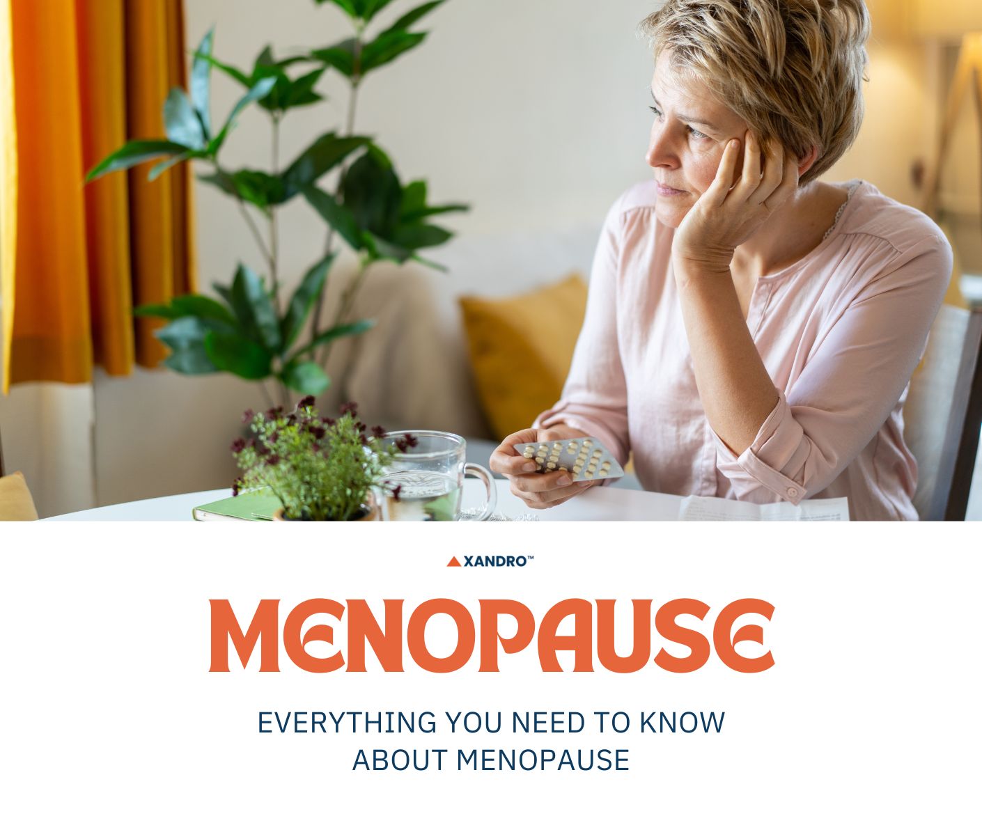 Everything You Need To Know About Menopause - Xandro Lab