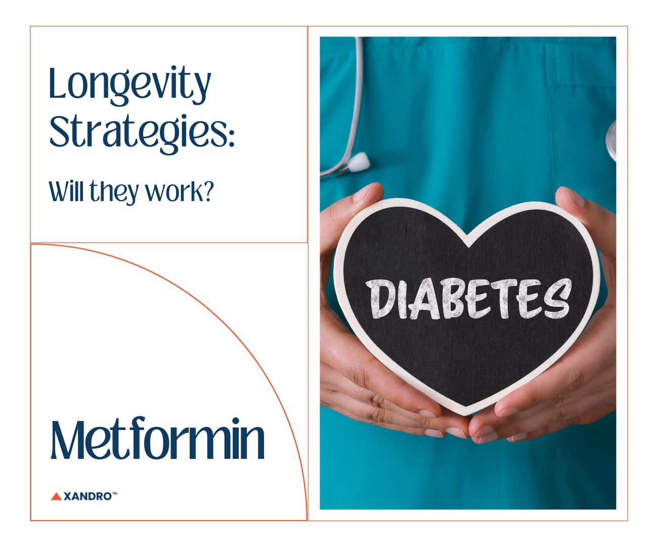 Does Metformin Help With Longevity? - Xandro Lab