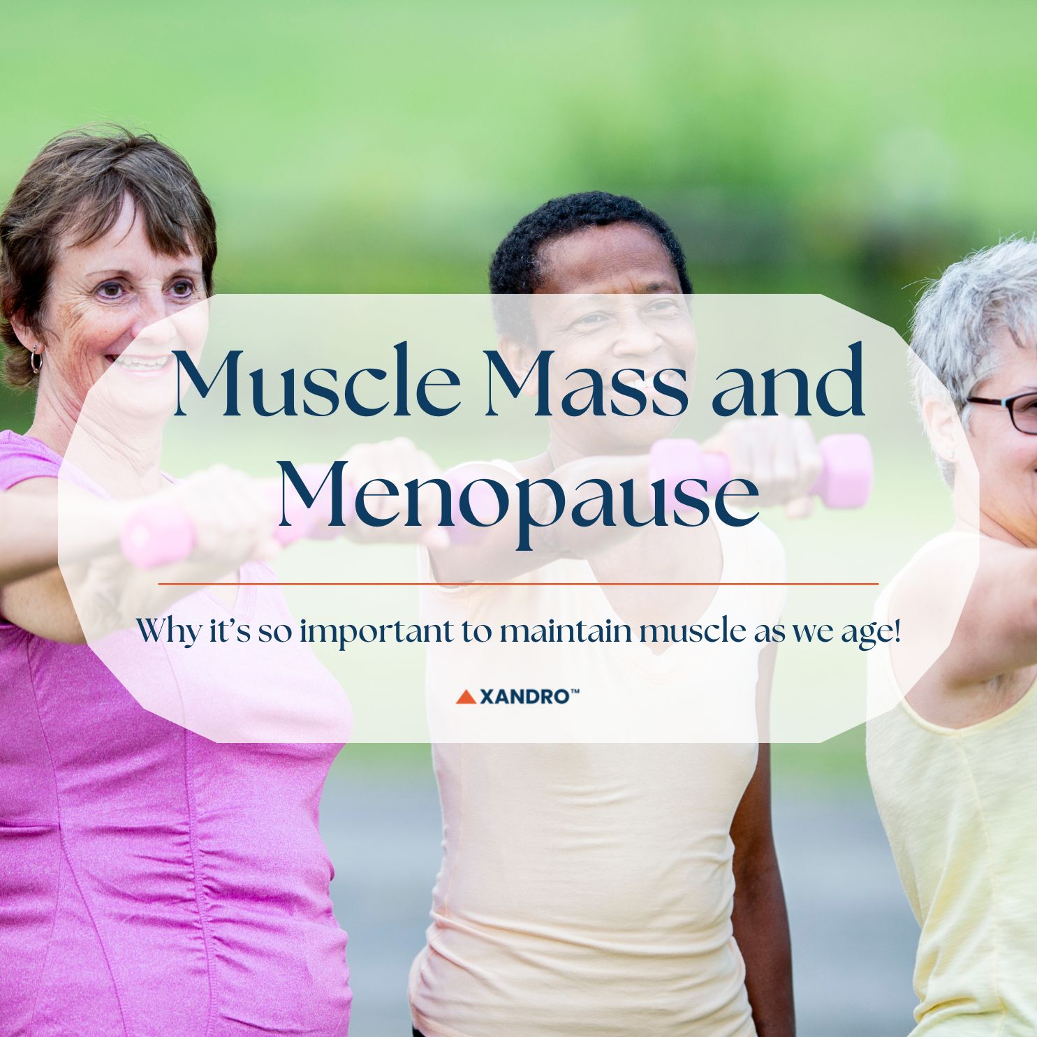 Does Menopause Affect Your Muscles? Tips for Recovery - Xandro Lab
