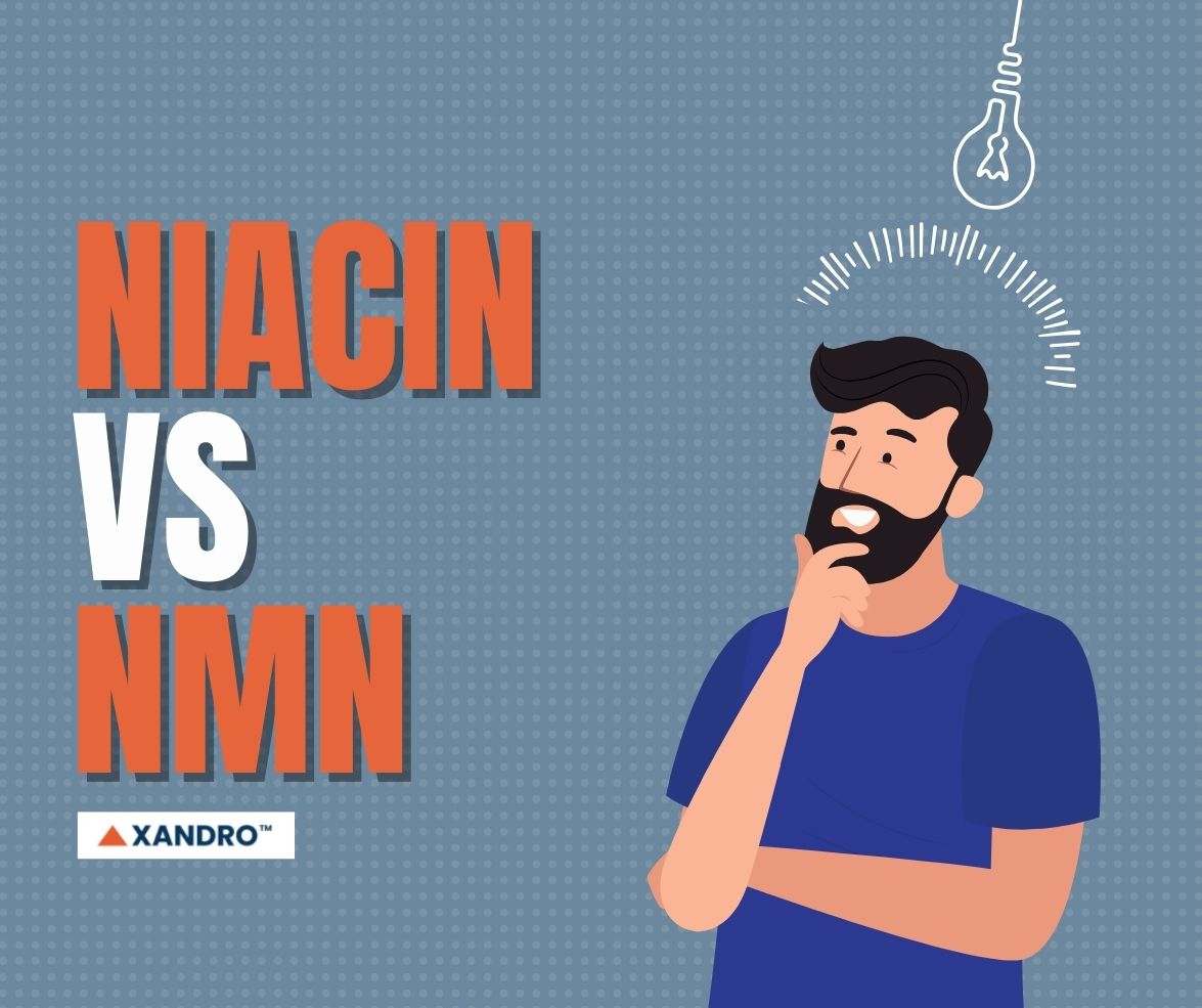 Is Niacin as Effective as NMN for Longevity? - Xandro Lab