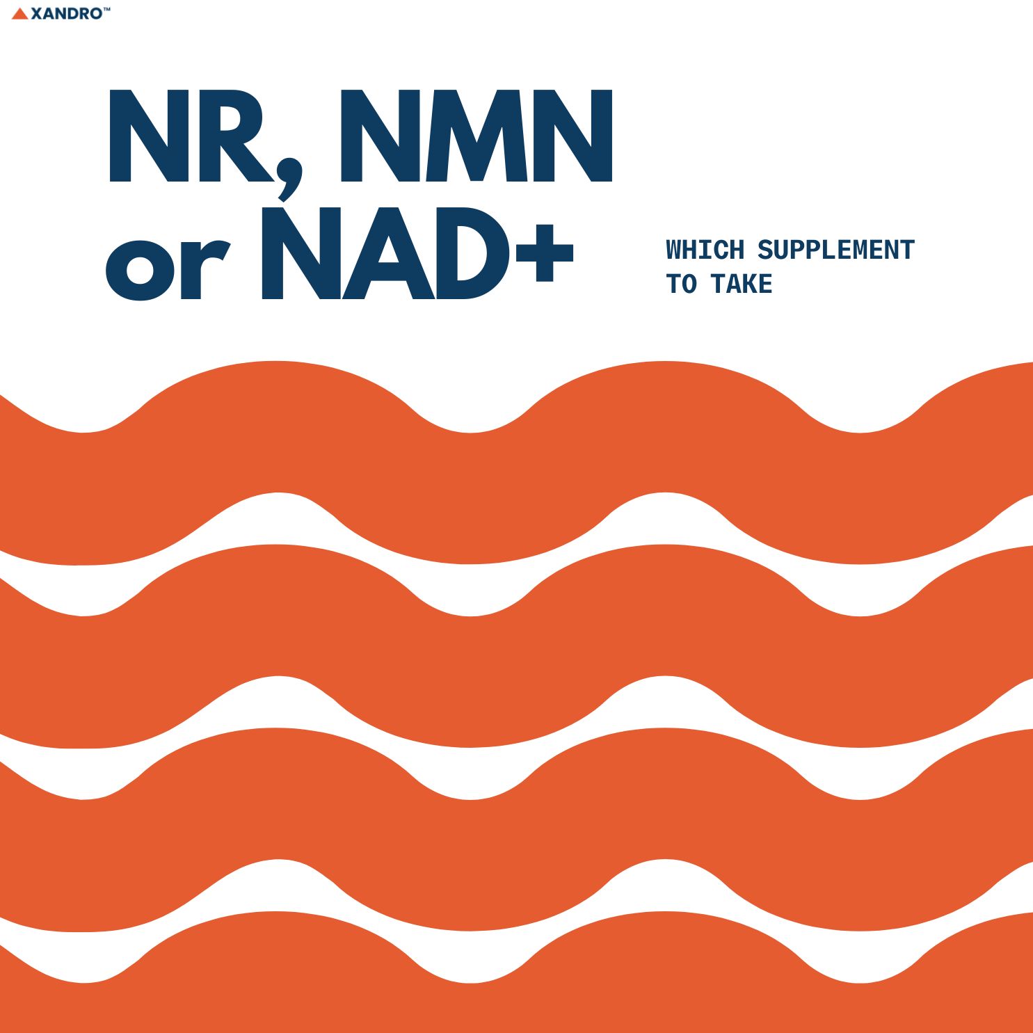 What is the Best Source of NAD: NMN or NR? - Xandro Lab