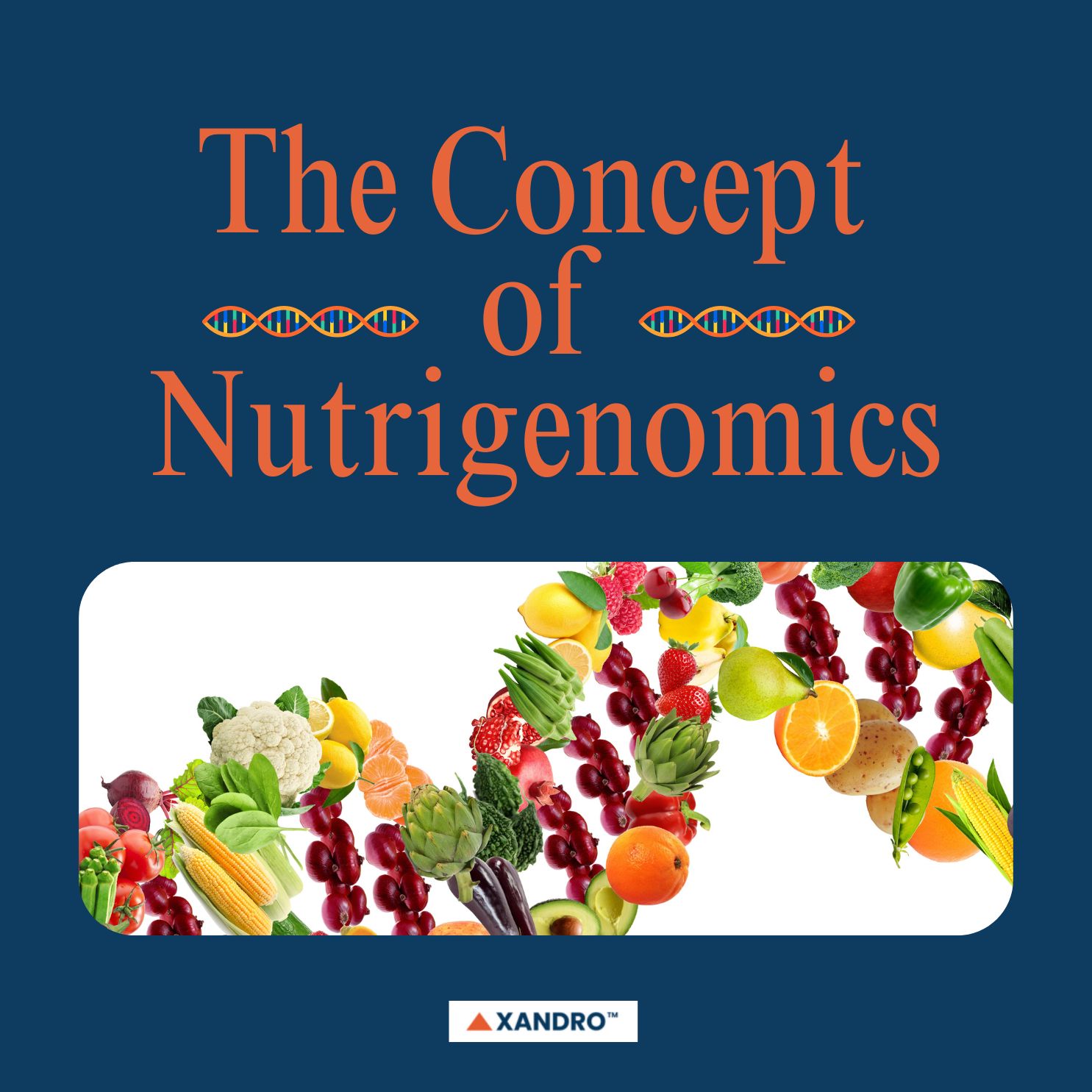 What is Nutrigenomics? The Relationship Between Genes and Diet - Xandro Lab