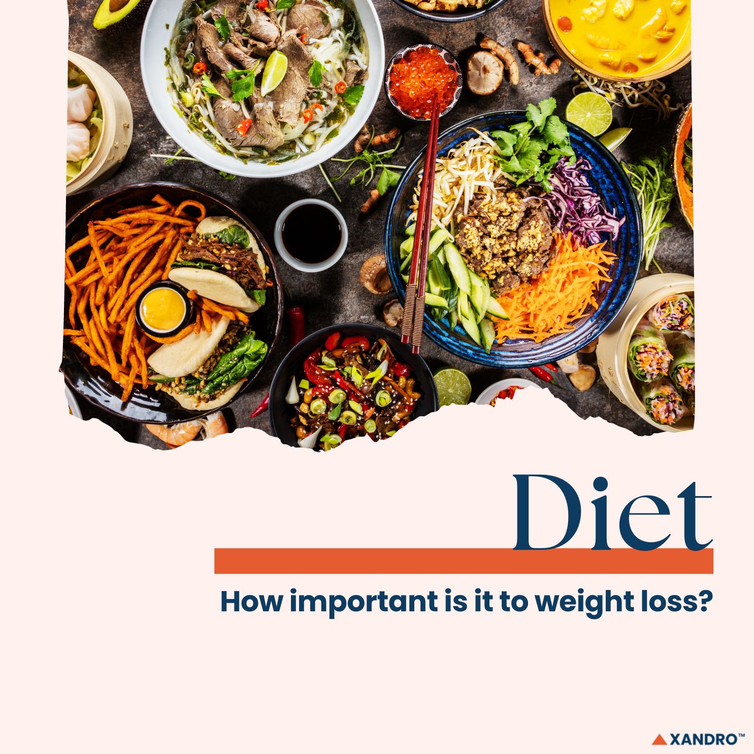 Why Diet is Key to Effective Weight Loss and Management - Xandro Lab