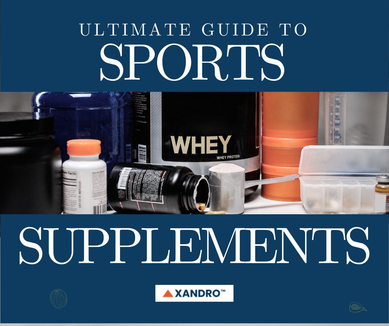 Fitness supplements to improve exercise performance - Xandro Lab