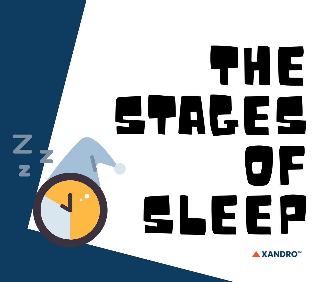 The Different Types of Sleep - Xandro Lab