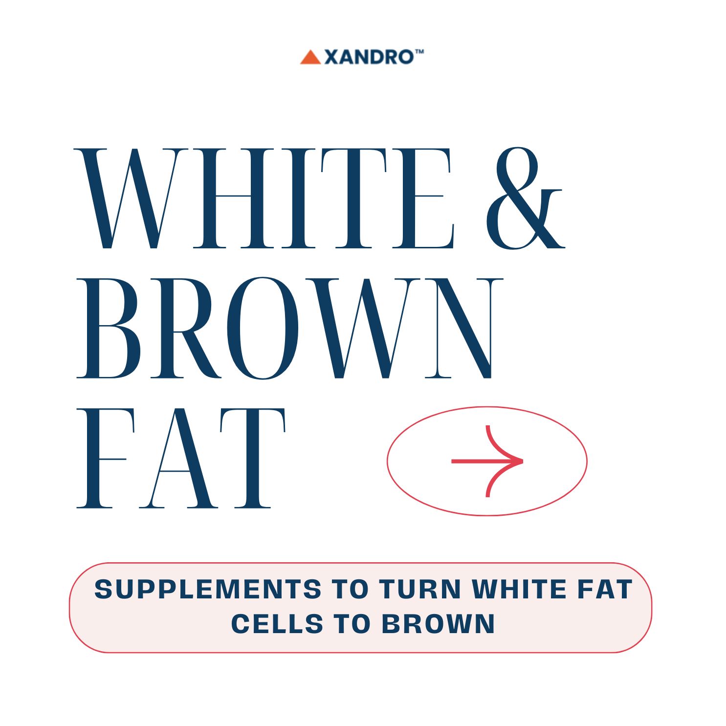 All About Activating Brown Fat Cells and Weight Loss! - Xandro Lab