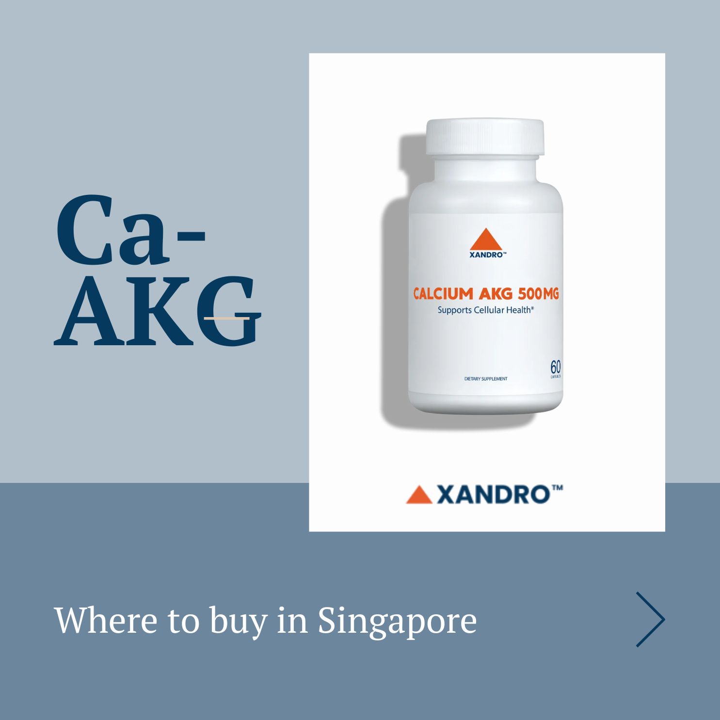 Best Calcium AKG Supplements: Benefits & Buy in Singapore - Xandro Lab