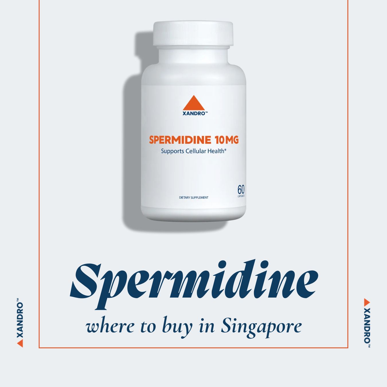Where to Buy Spermidine Supplements in Singapore: Stores and Brands ...