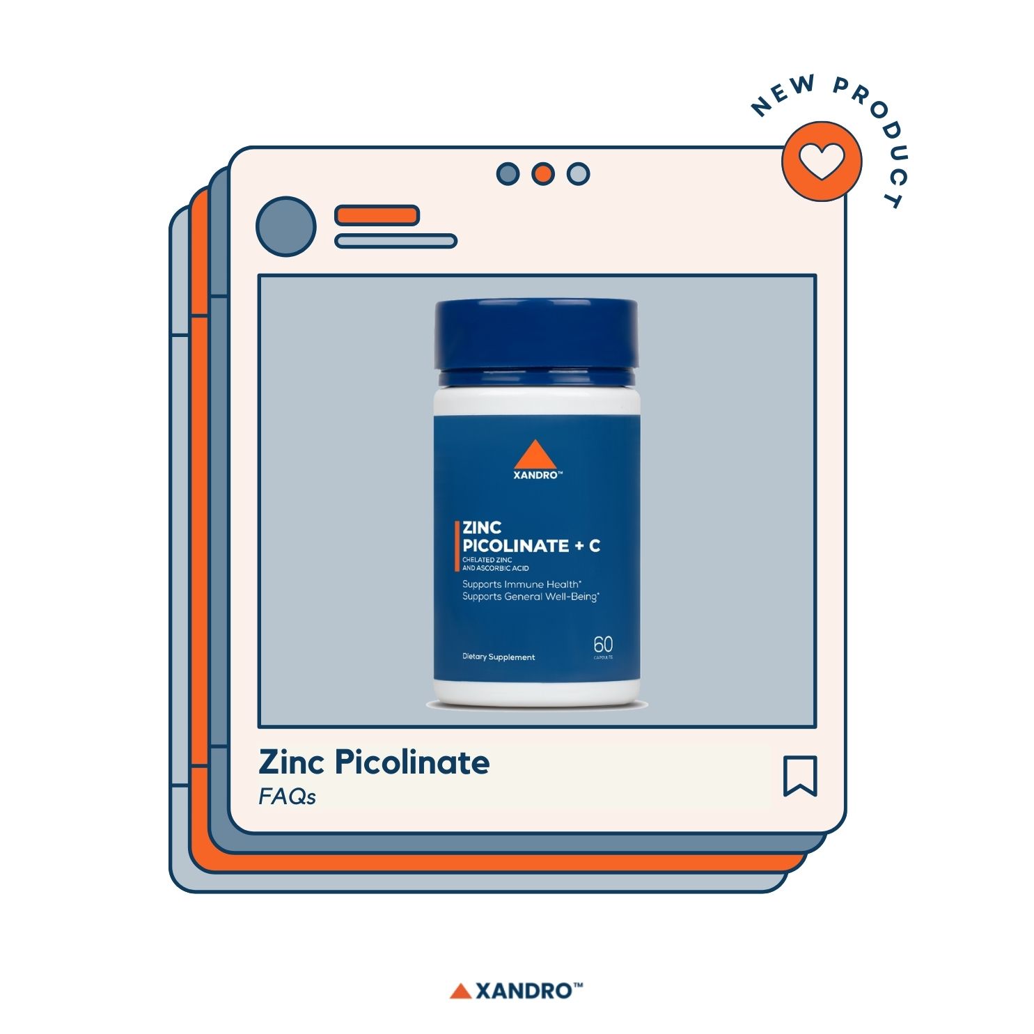 FAQs About Zinc Picolinate and Its Benefits - Xandro Lab