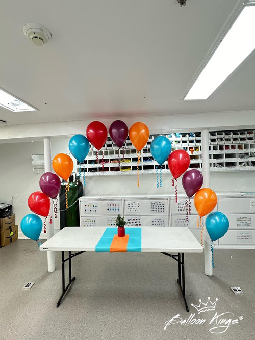 Single Line Arch - 13 Balloons - Balloon Kings