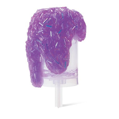 Slime Pops - Toys for Autism