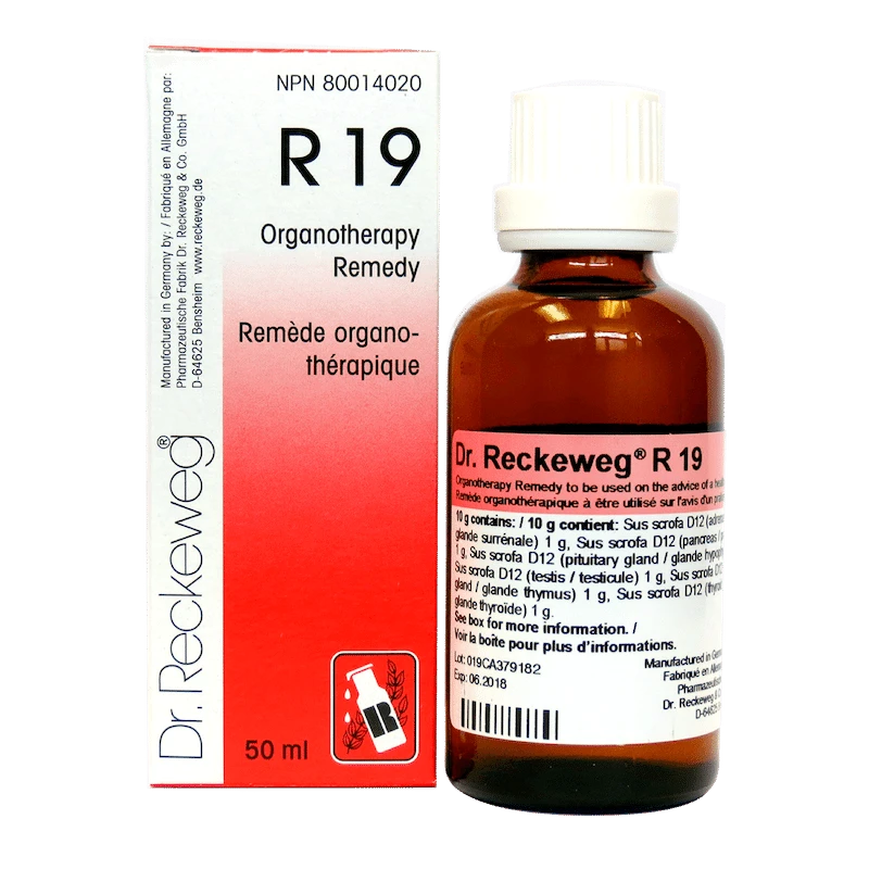 Dr Reckeweg R19 - 50 Ml - Health Palace