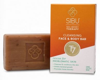 Cleansing Face & Body Bar By Sibu Beauty | Buy Sibu Beauty Bar in ...