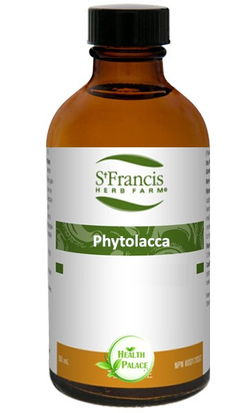 Phytolacca by St Francis Herb Farm | Buy Phytolacca Tincture