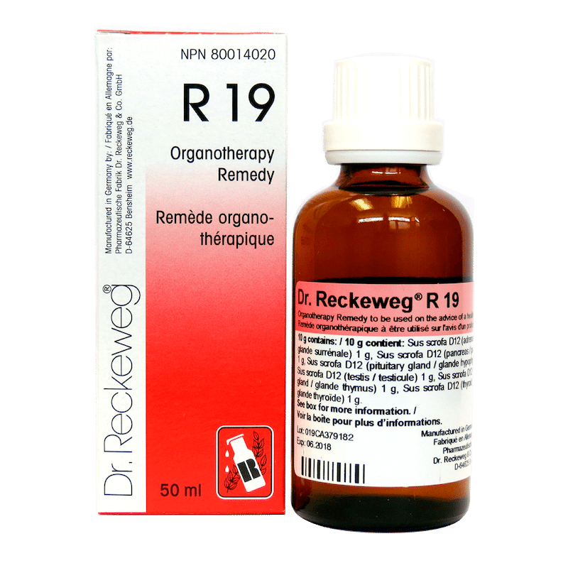 Dr Reckeweg R19 - 50 Ml - Health Palace