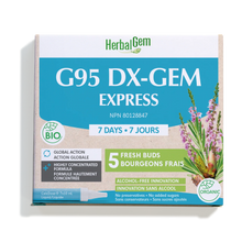 HerbalGem G95 DX Gem 7 Days