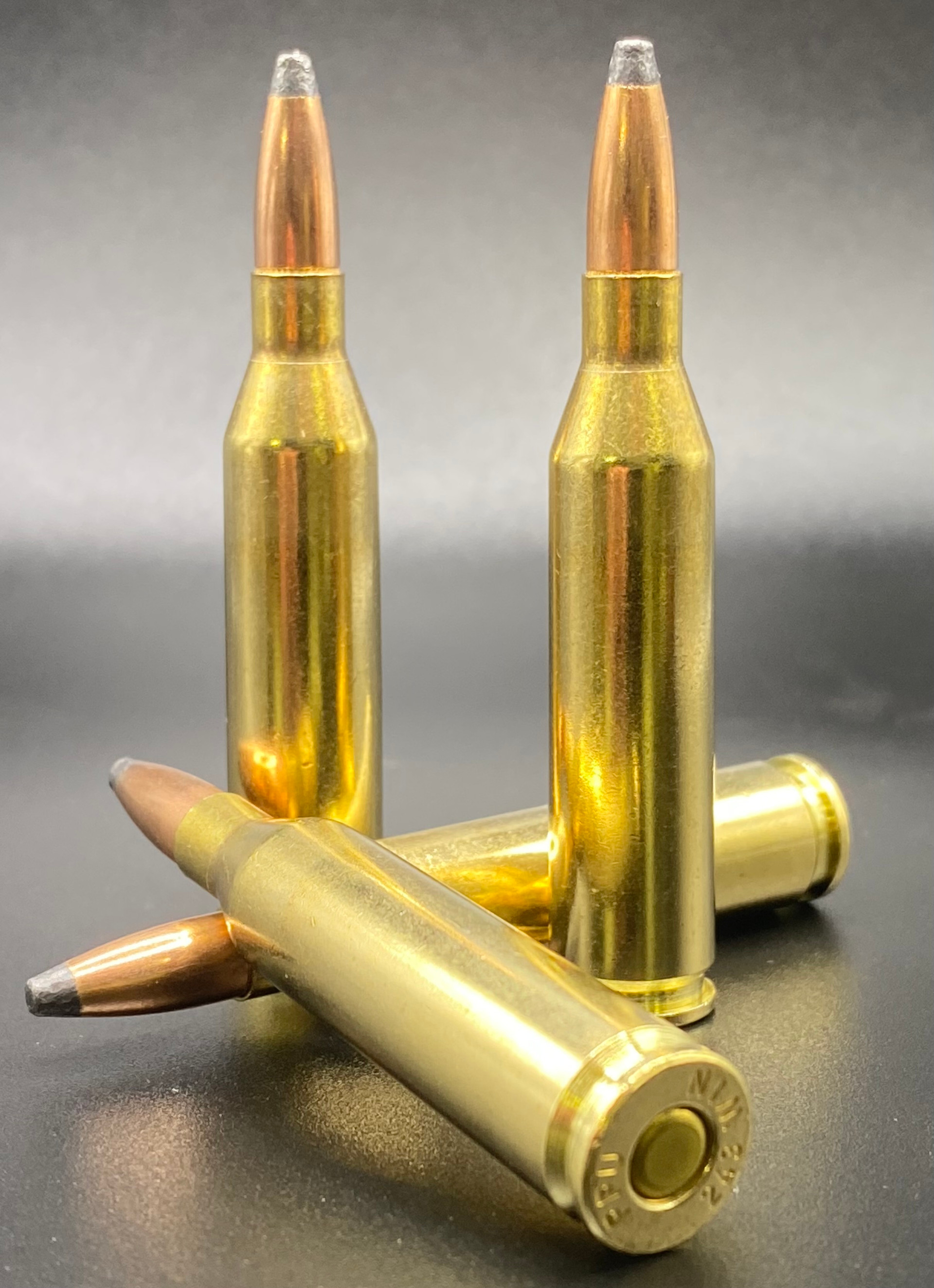 .243 Winchester 100gr Soft Point 100rds - Veteran Owned & Operated ...