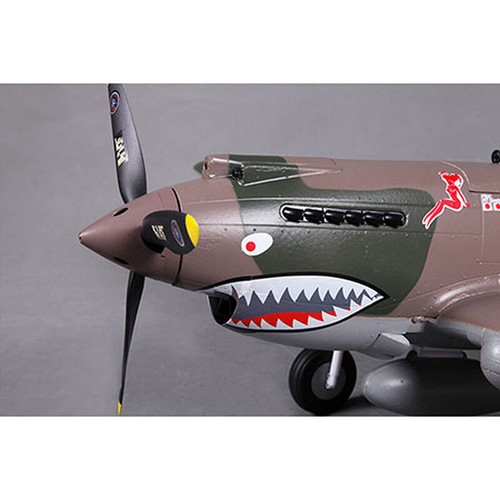 FMS 980mm P-40B Warhawk High Speed PNP rc plane | HobbyStation