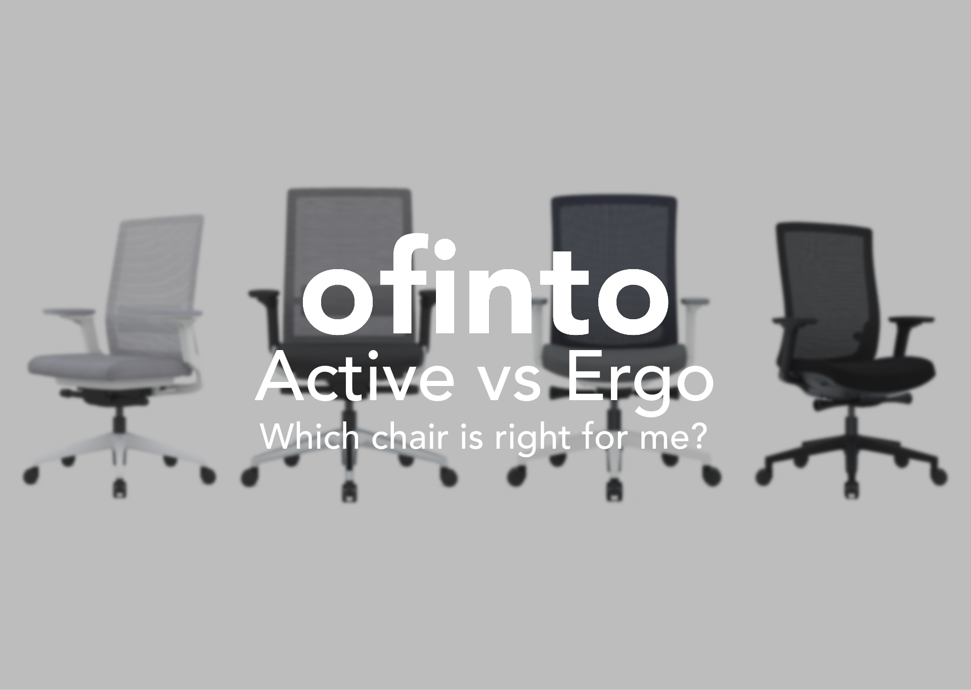 The ofinto office chair comparison: ofinto Active vs. Ergo - ofinto UK