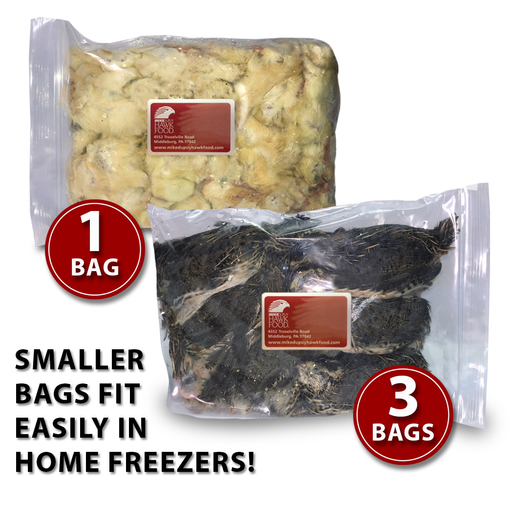 Hawk Food - Day Old Chicks - Mike Dupuy Hawk Food