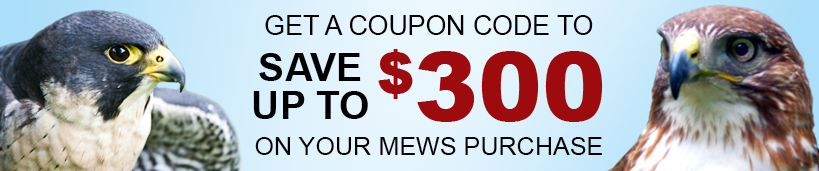 Mike Dupuy Hawk Mews