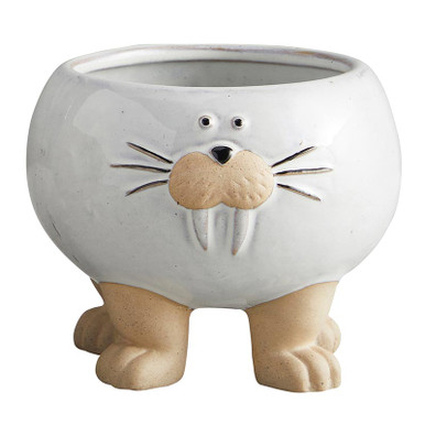 White Walrus Pot - [Wholesale]47th & Main