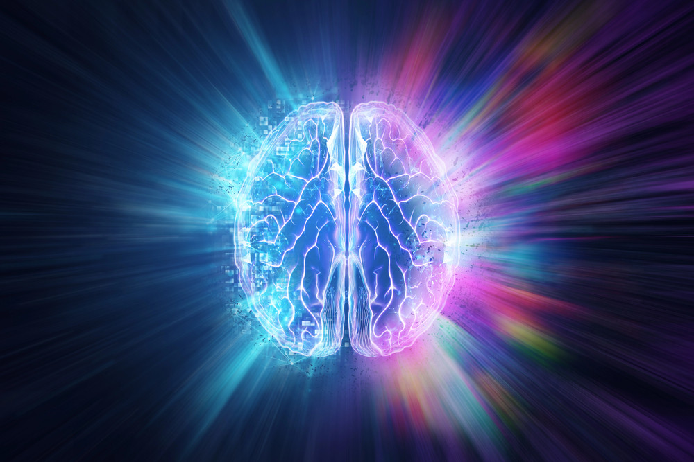 Brain Repatterning Series
