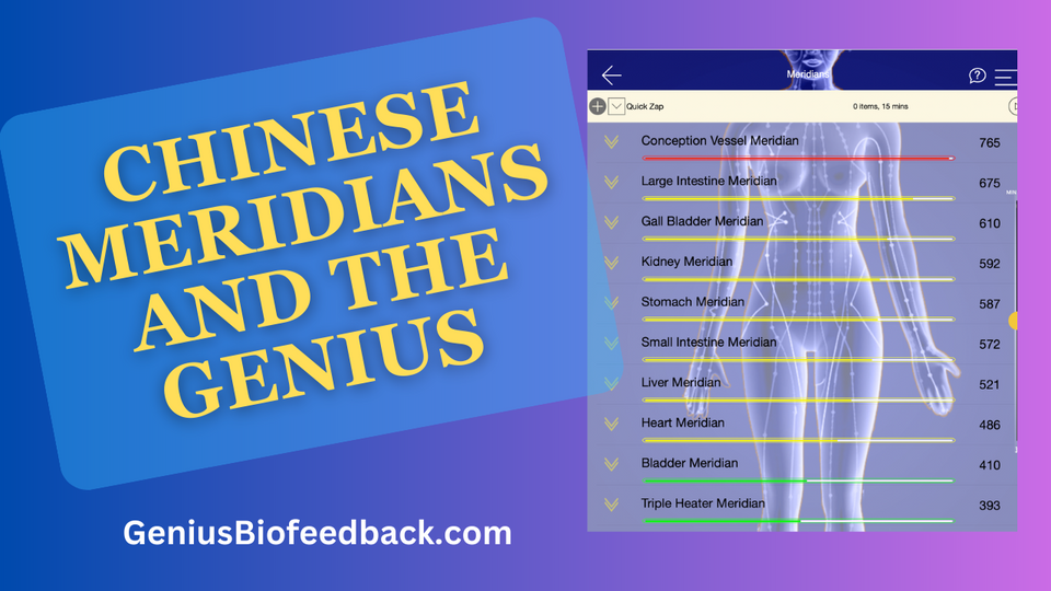Working with Chinese Meridians and the Genius - Training 8/1 - Genius ...