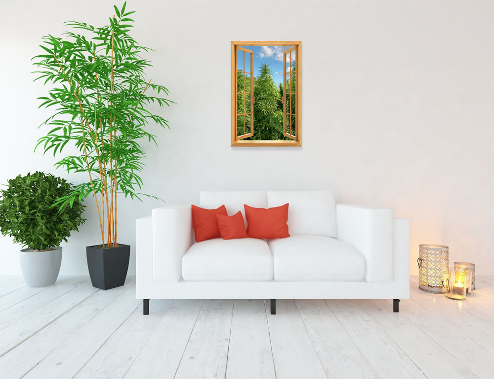 Window View Weed Bush