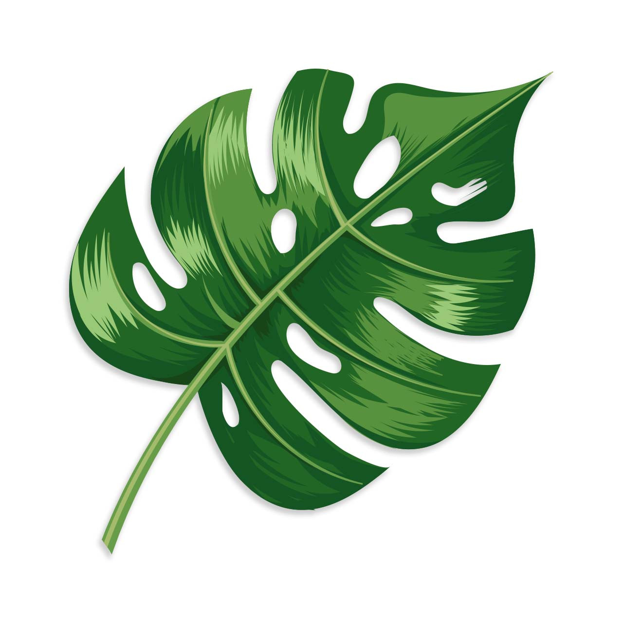 Monstera Leaf Decal Sticker | KO Custom Creations