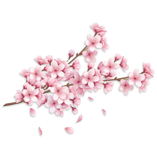 Soft Sakura Branch Decal Sticker | KO Custom Creations