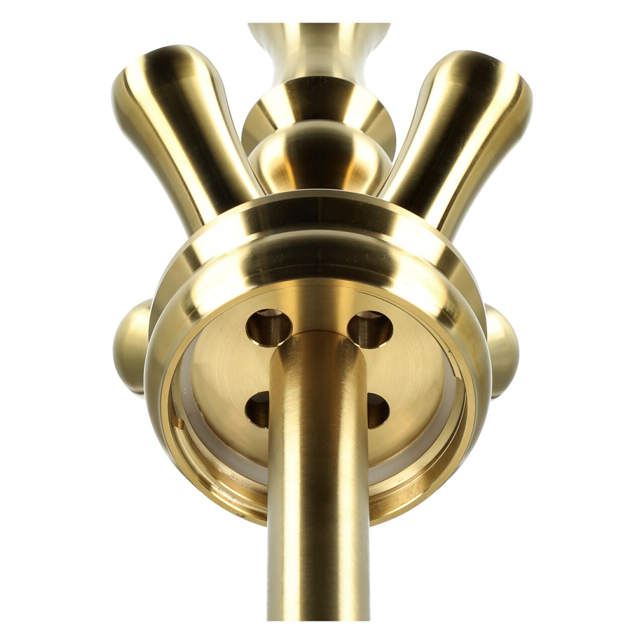 Alligator Gator Shisha Gold | myhookah.ca