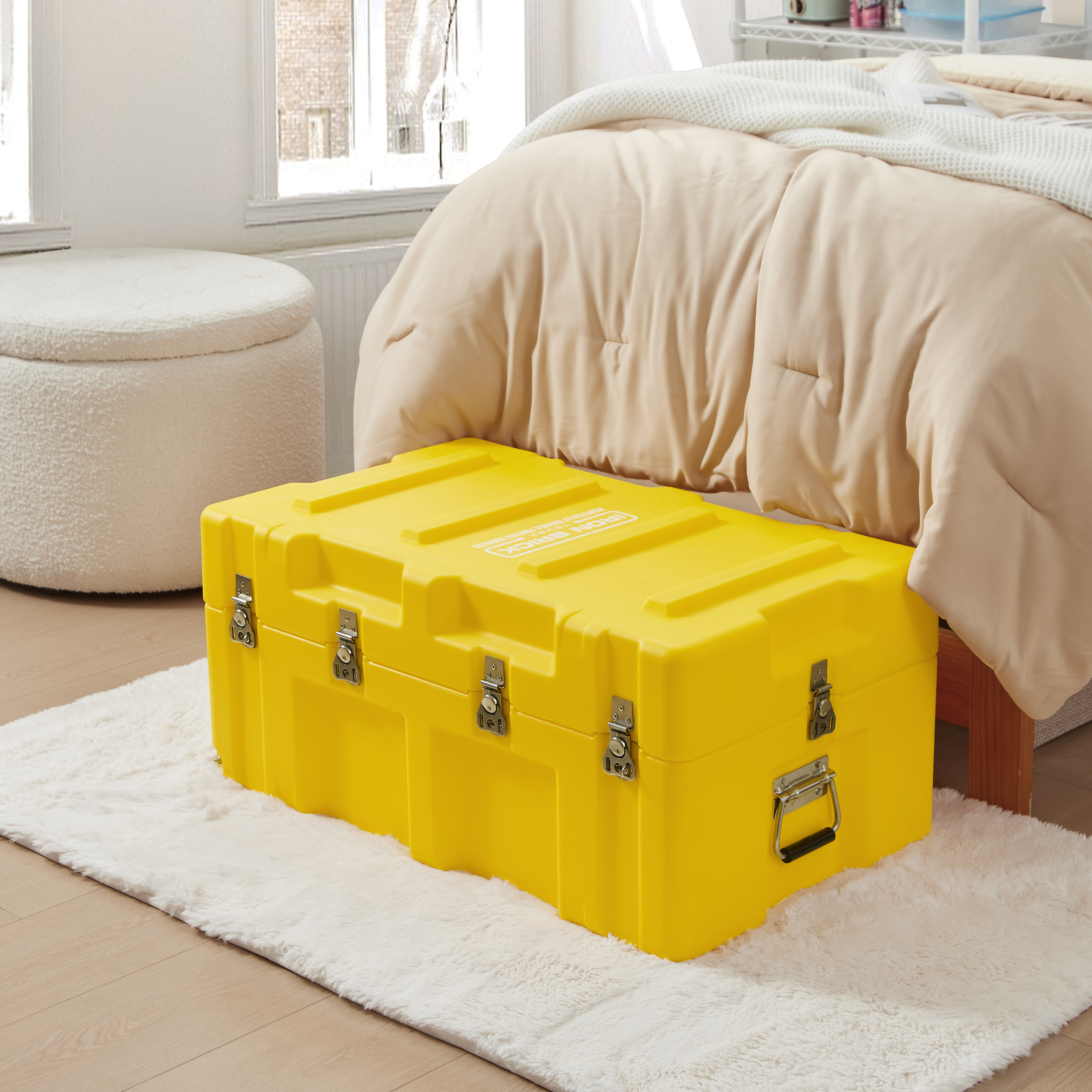 ACRYLIC TRUNK - SILVER PLATED