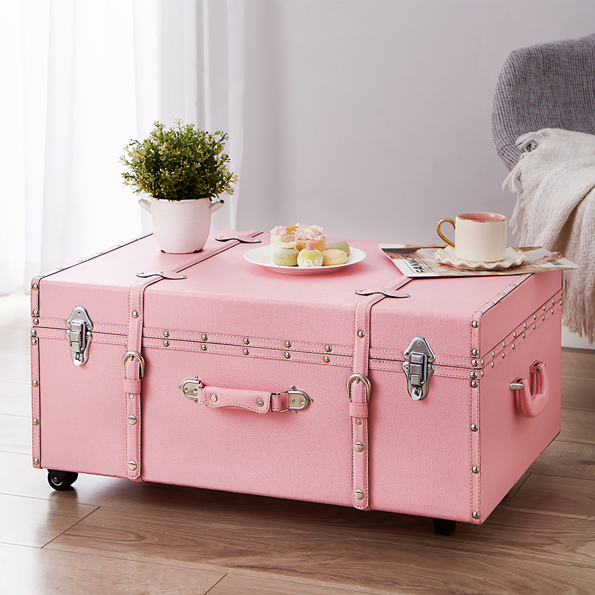 Texture® BRAND TRUNK - BABY PINK